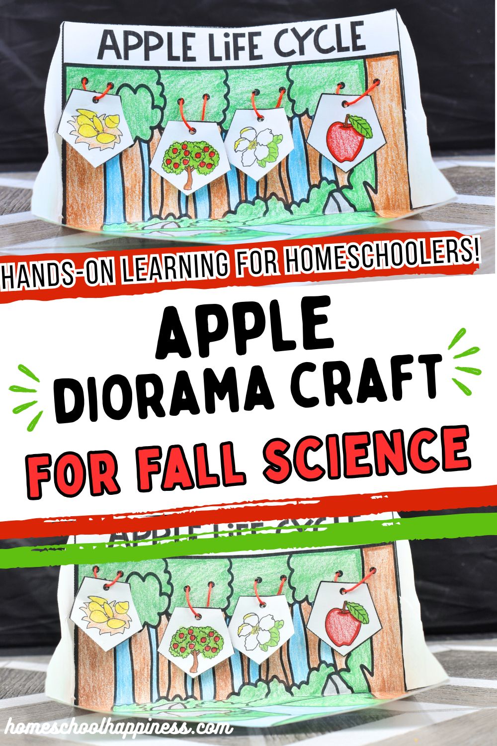 Apple Life Cycle Diorama Printable for Young Learners