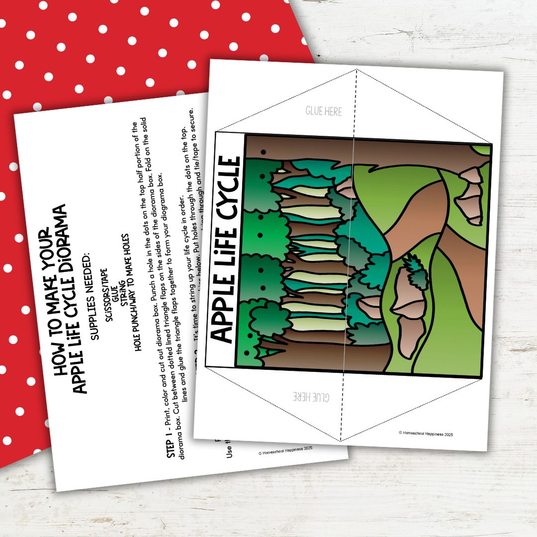 Apple Life Cycle Diorama Printable for Young Learners