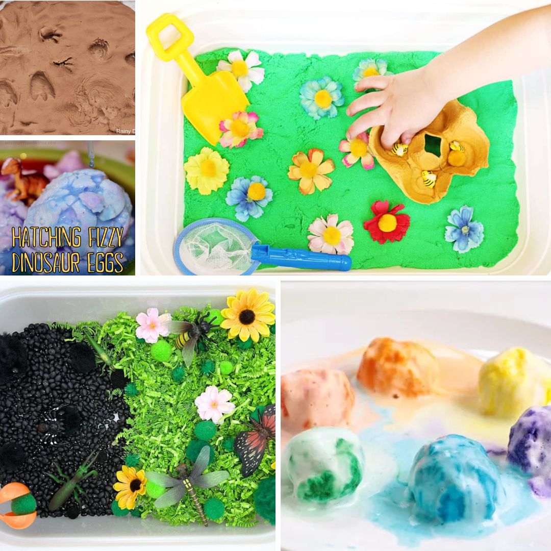 Science Discovery Stations for K–2 Homeschoolers