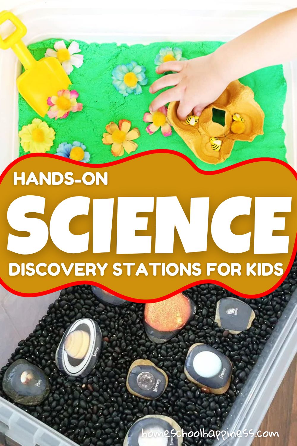 Science Discovery Stations for K–2 Homeschoolers