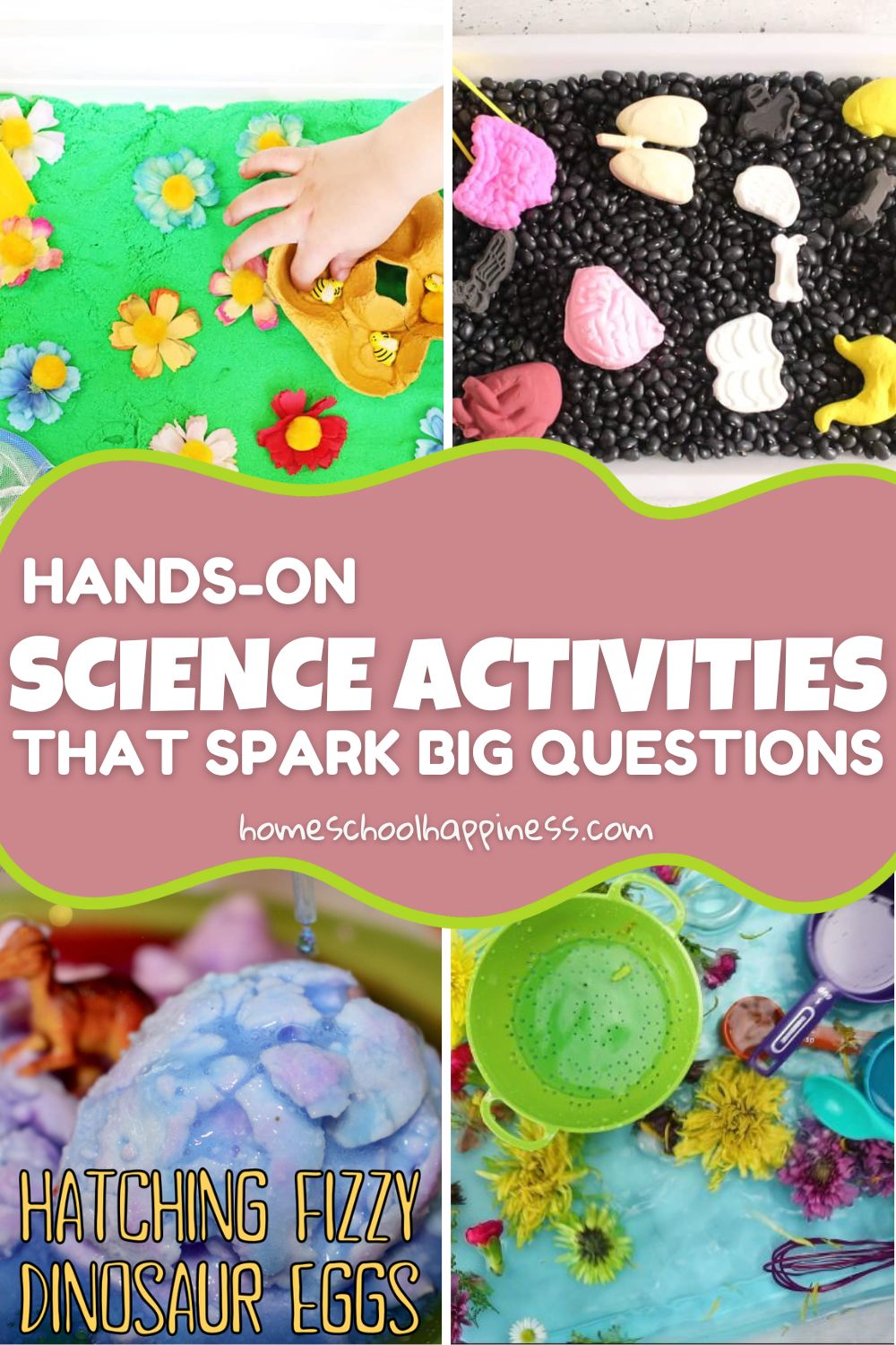 Science Discovery Stations for K–2 Homeschoolers