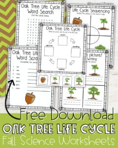 Free Printable Life Cycle of an Oak Tree Worksheets for Kids