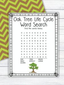 Free Printable Life Cycle of an Oak Tree Worksheets for Kids