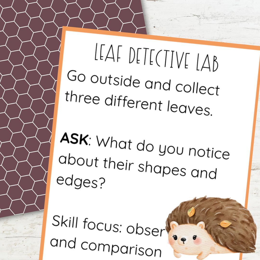 4 Autumn Homeschool Learning Ideas for Curious K–2 Kids