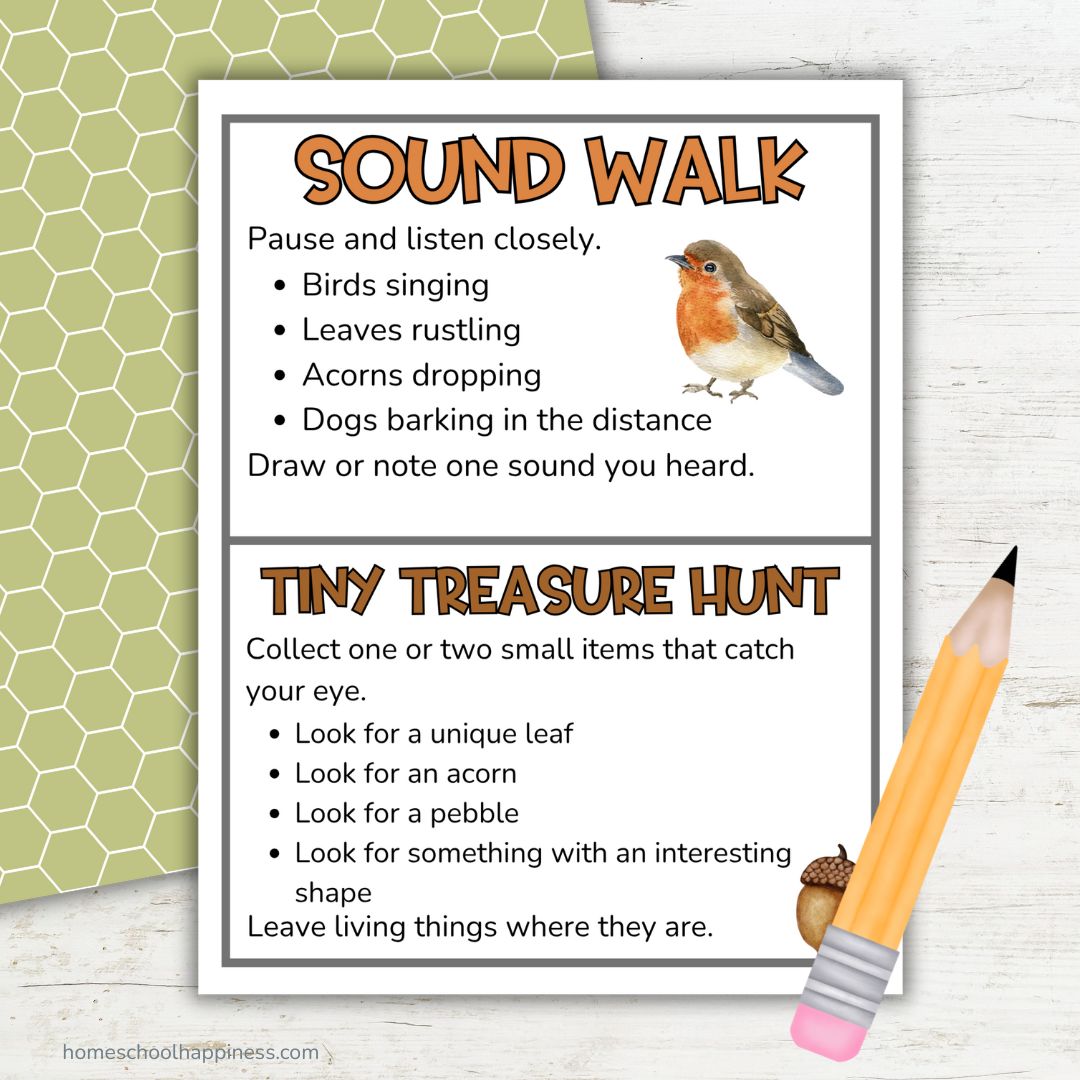 Simple Nature Walk Ideas for Your Fall Morning Basket